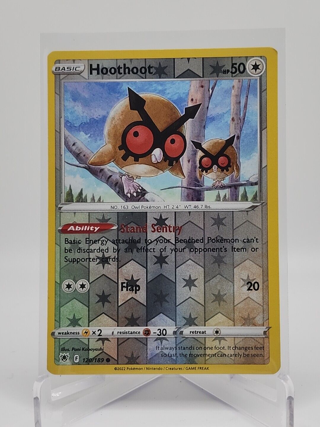 Shop Rare & Individual Pokémon Cards | Your Ultimate Pokémon TCG Store ...